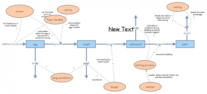 Life History Model | Insight Maker