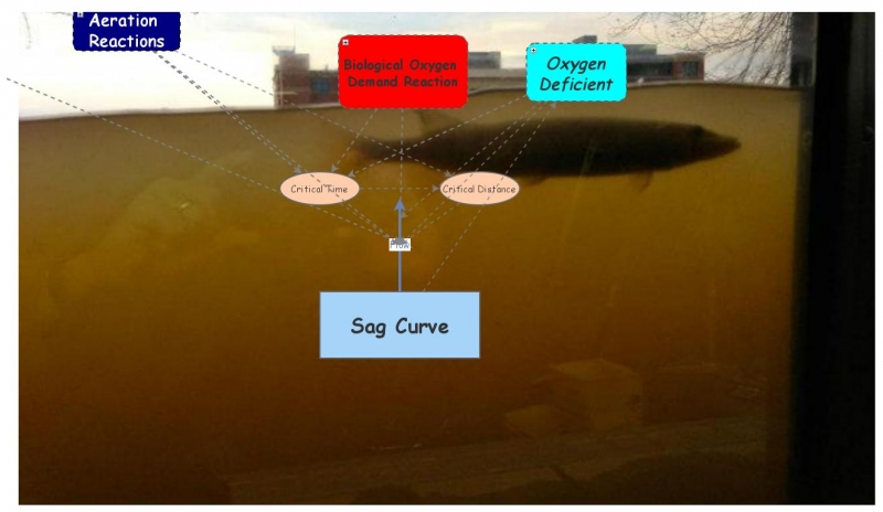 Point Source Pollution | Insight Maker