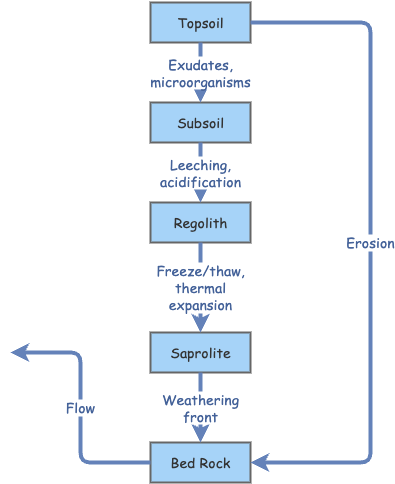 Soil System | Insight Maker