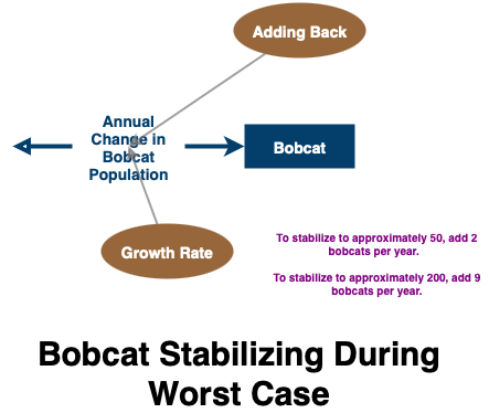 Q6 Bobcat Stabilizing during Worst Environment | Insight Maker