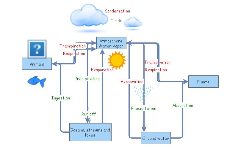 Clone of Water Cycle | Insight Maker