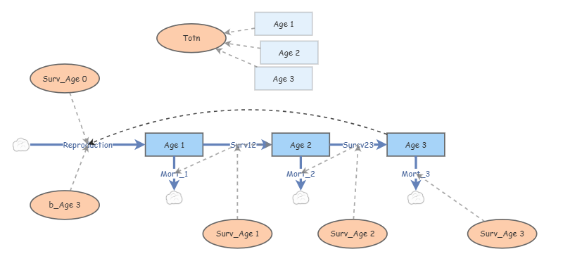 Age-structure model | Insight Maker
