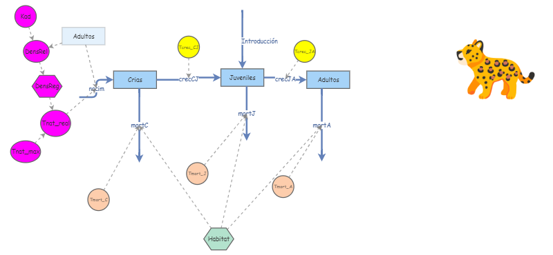 Modelo Original | Insight Maker