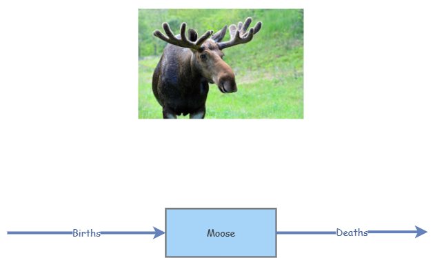 Step 1 Basic population model (linear) | Insight Maker