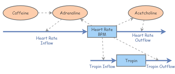 Heart Rate model Fixed | Insight Maker