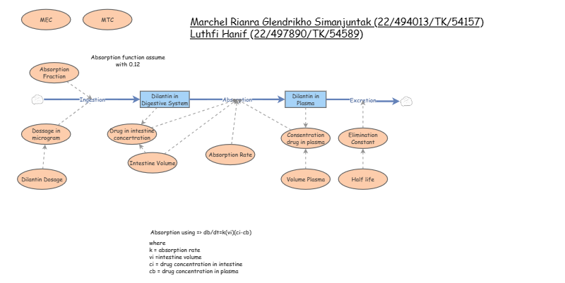 Two Compartment Model for Dilantin | Insight Maker