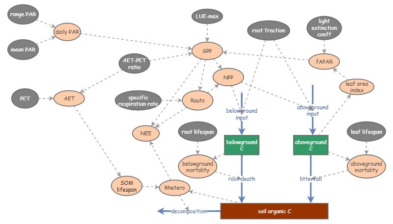 Very Simple Ecosystem Model with Evapotranspiration (VSEM-ET) | Insight ...