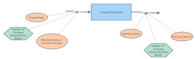 Lake Sturgeon Model by Month | Insight Maker