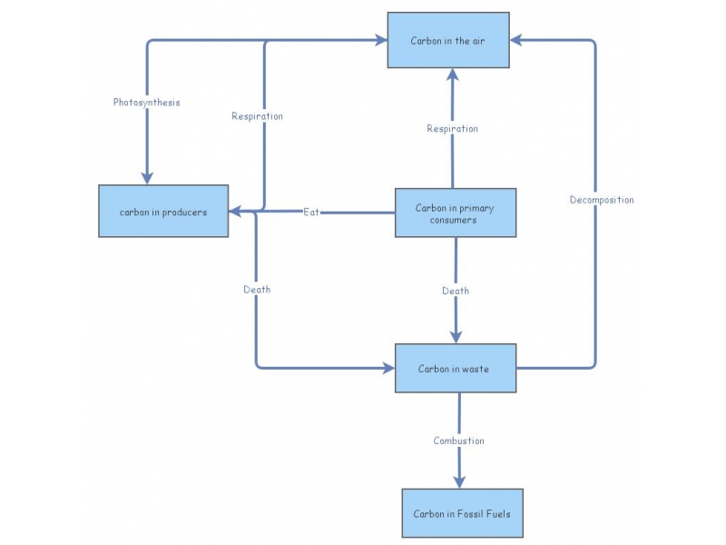 Carbon Cycle | Insight Maker