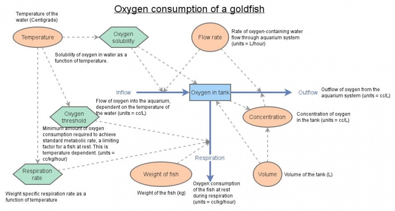 Assignment 1: Modelling oxygen consumption of a goldfish | Insight Maker