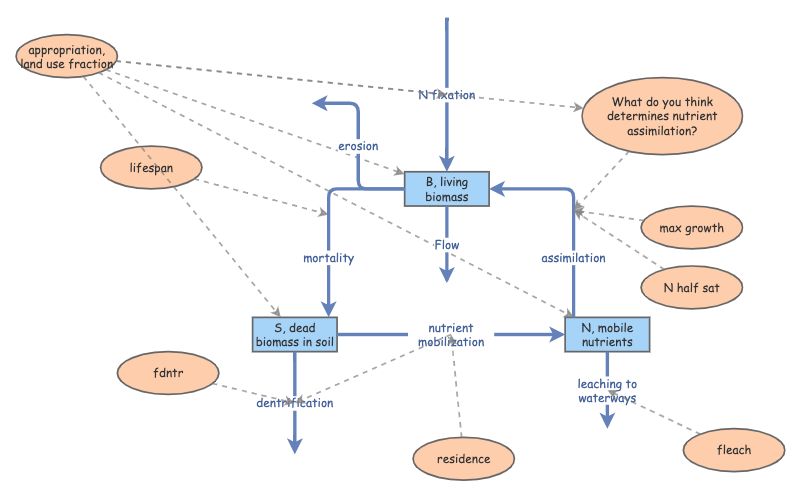 Terrestrial N cycle model template | Insight Maker