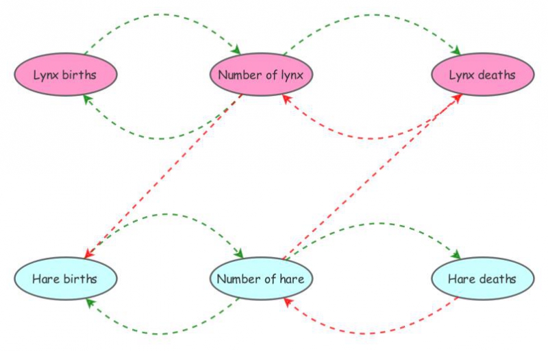 Lynx and Hares | Insight Maker