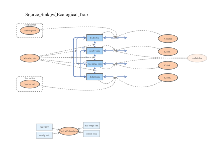 Source-Sink Ecol Trap | Insight Maker