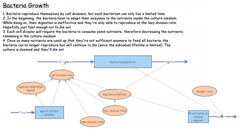 Bacterial Growth | Insight Maker