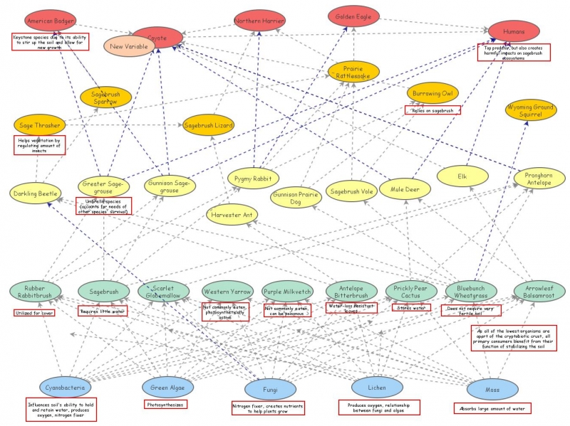 Sagebrush Ecosystem Food Web | Insight Maker