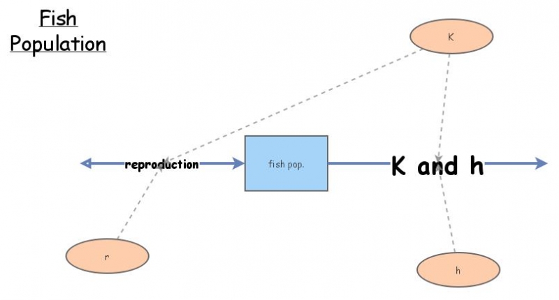 Modeling Activity 1.3 | Insight Maker