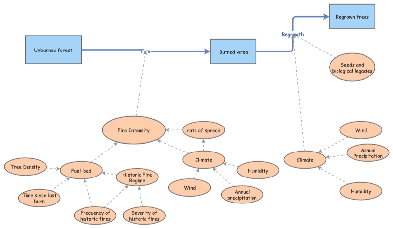 Fire Ecology Final Working Example | Insight Maker