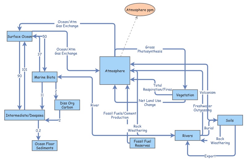 HW 5 global carbon cycle | Insight Maker