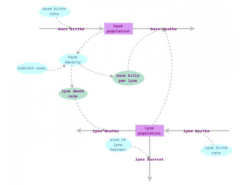 dynamic population model | Insight Maker