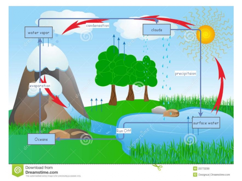 water cycle | Insight Maker