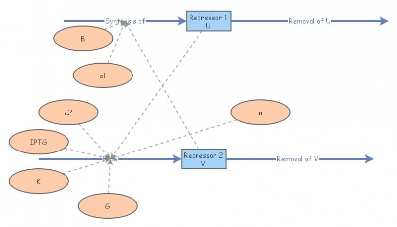 4260 assignment 2: a bistable genetic toggle switch in E.coli | Insight Maker