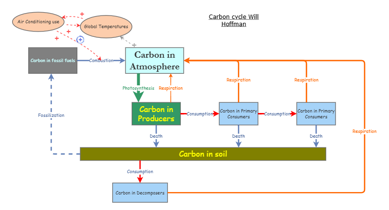 WCH Spr 25 Carbon stock and flow | Insight Maker