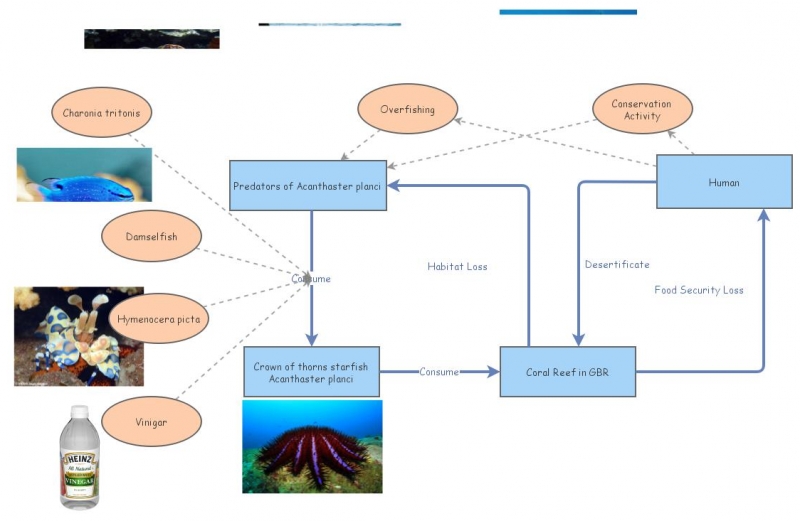 Final Project-Predator | Insight Maker