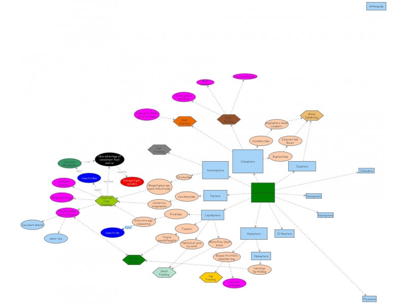 Entomology concept map | Insight Maker