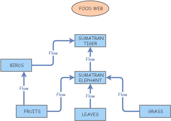TASK 2 | Insight Maker