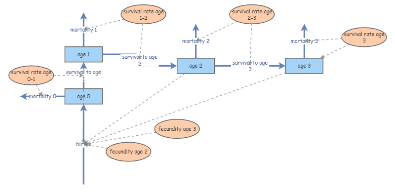 Clone Of Biol 303 Age Structured Density Dependent Model Insight Maker
