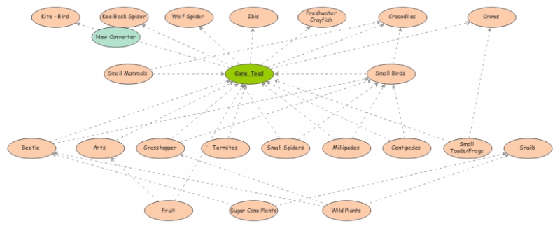Cane Toad Food Web | Insight Maker