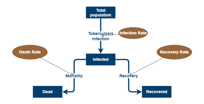 Tuberculosis in South Africa | Insight Maker