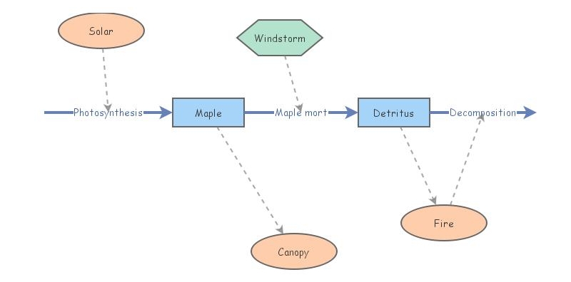Modeling ecosystem process | Insight Maker