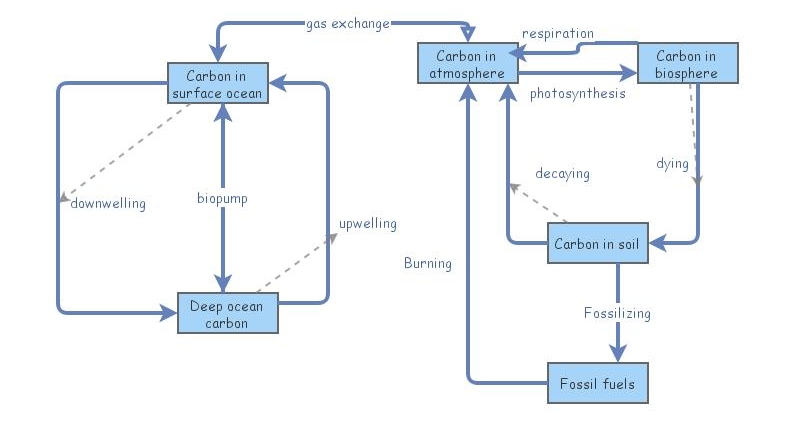 Six stock Carbon cycle | Insight Maker