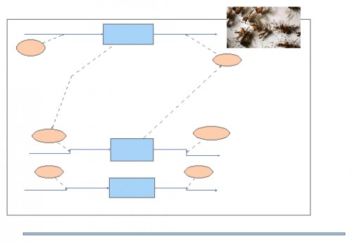 DDT Resistance In Mosquitoes | Insight Maker