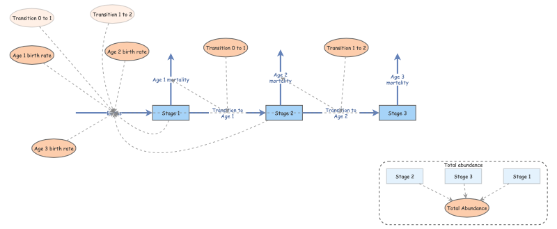 Exercise 3: Translate stage-structured projection matrix to Insightmaker | Insight Maker