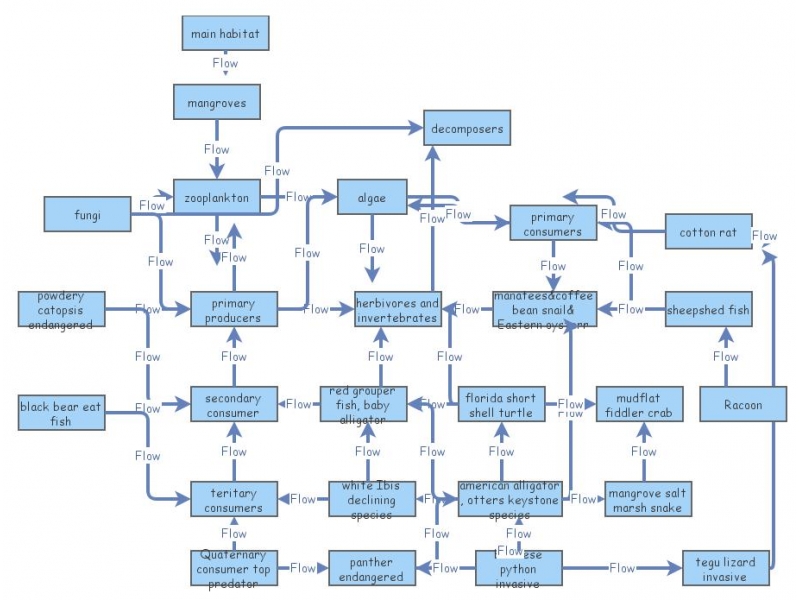 CAPSTONE PROJECT | Insight Maker