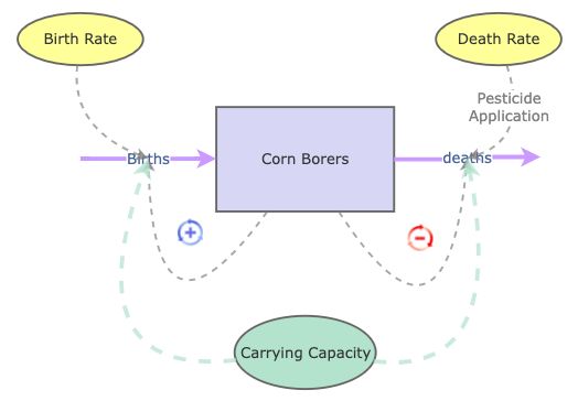 Population Simulation | Insight Maker