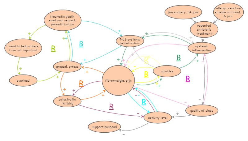 CLD Anjo | Insight Maker