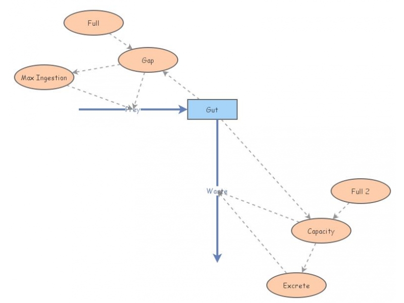 Preliminary Model | Insight Maker