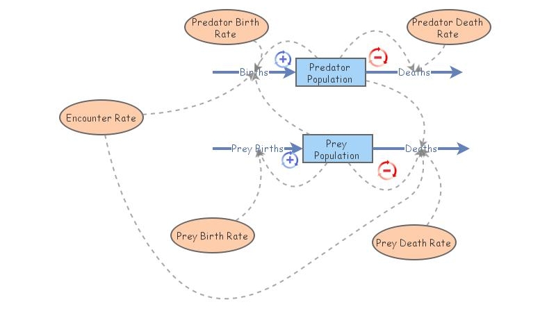 Predator-Prey | Insight Maker