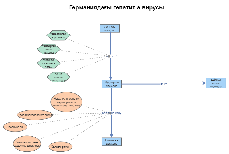 Гепатит А | Insight Maker