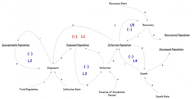 Feedback Loop Diagram of the Baseline SEIR Model | Insight Maker