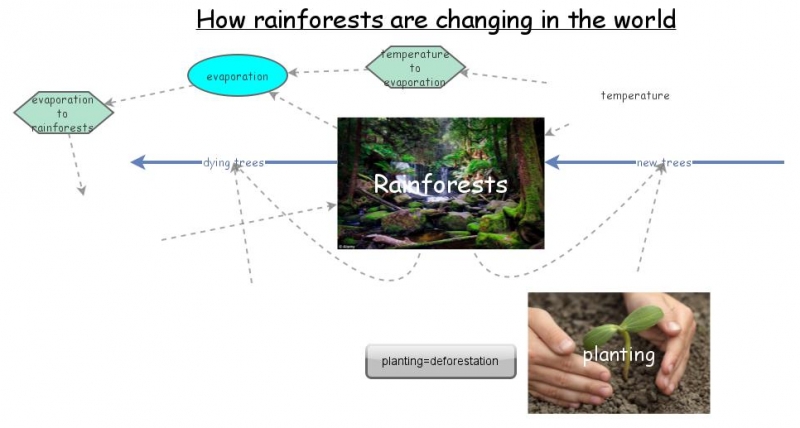 climate change and the rainforest | Insight Maker