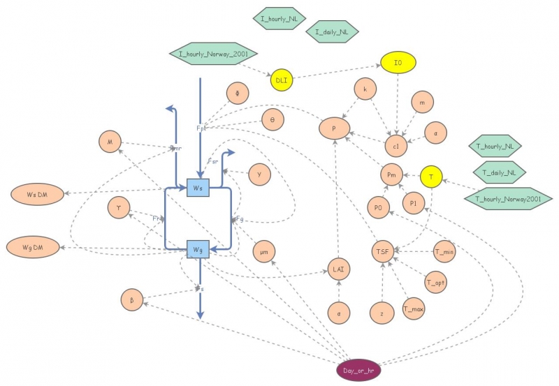 Case 1 Grass growth | Insight Maker