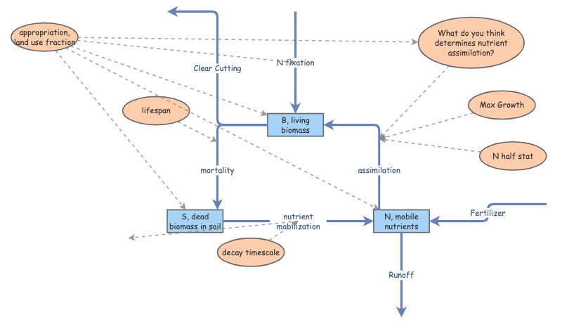 Tropical Rainforest Model | Insight Maker