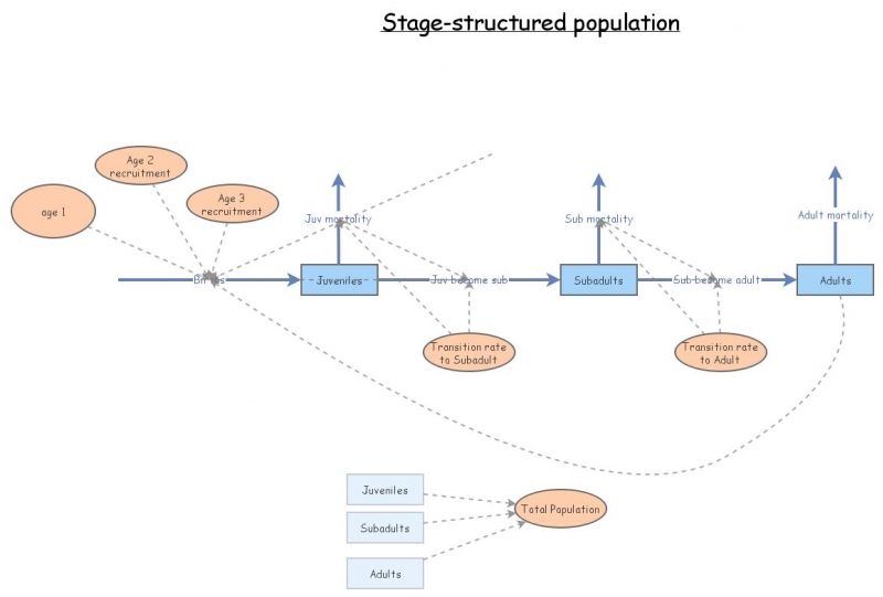 Clone of Clone of Clone of Stage-structured population | Insight Maker