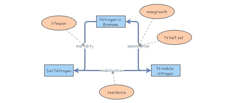 Nitrogen Cycle | Insight Maker