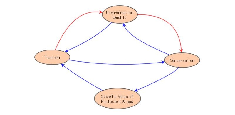 Feedback loop diagram | Insight Maker