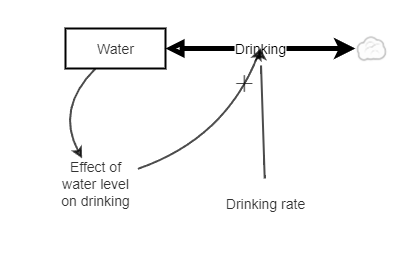 Water drinking model | Insight Maker
